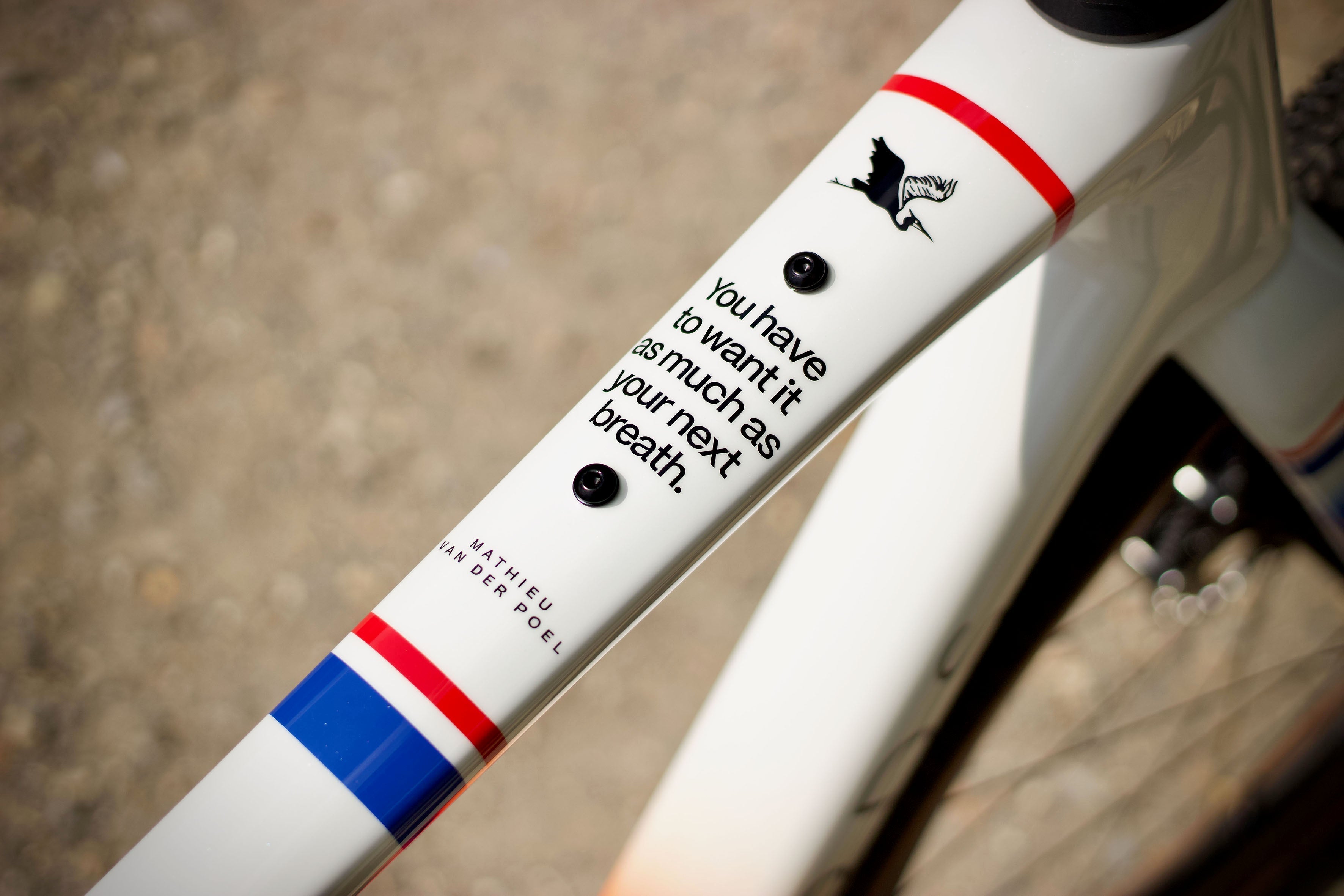 The 'quivver killer' conundrum: is there really one bike that can do i ...